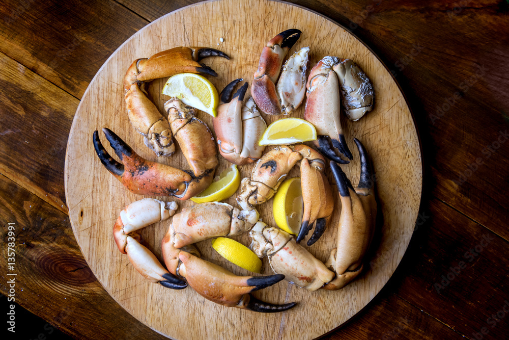 claws 스톡 사진 | Adobe Stock