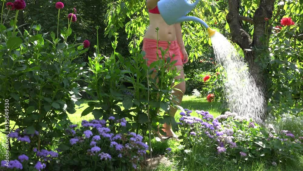 Hot garden worker woman in shorts and bra watering flowers in summer ...
