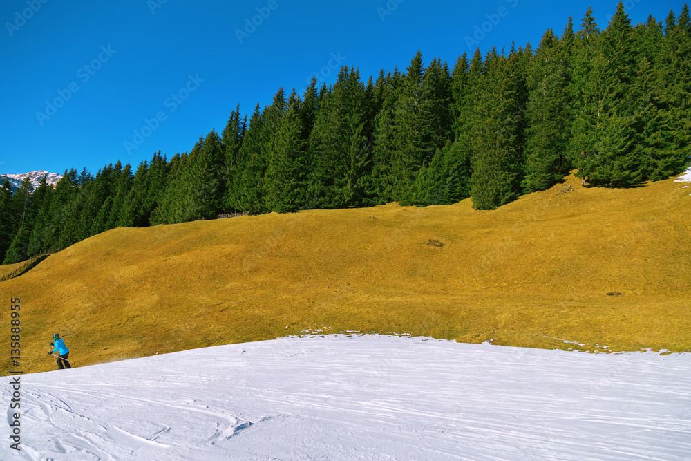 Winter landscape. Ski on a background of yellowed alpine herbs, pine ...