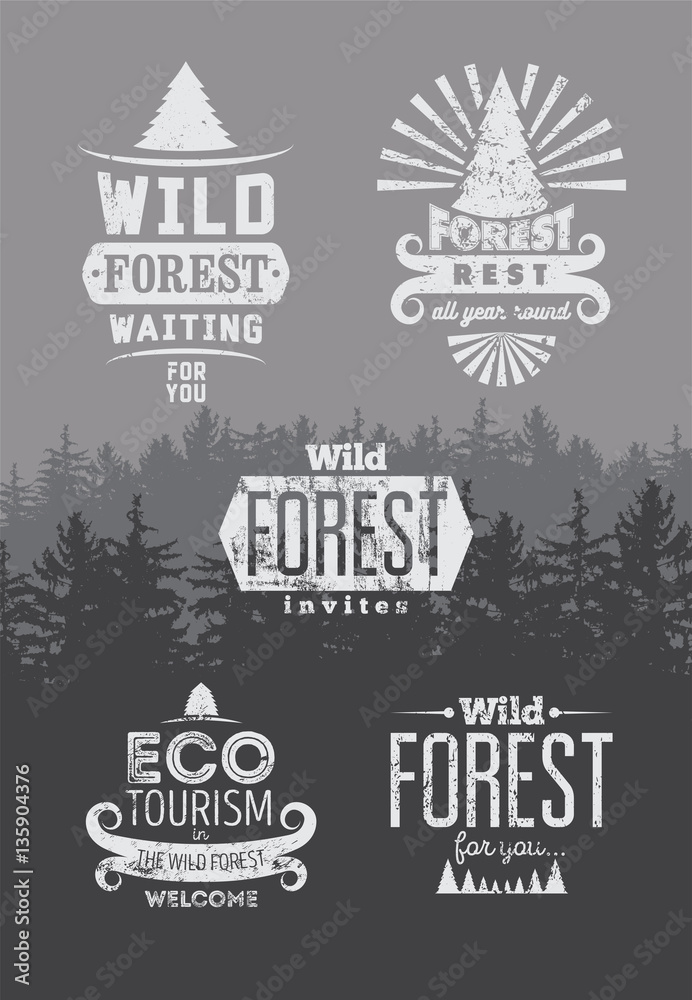 Wild Forest and Eco tourism typographic retro labels, vintage badges ...