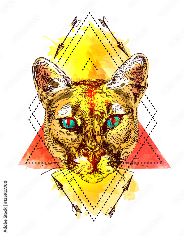 puma sketch illustration Stock Vector | Adobe Stock