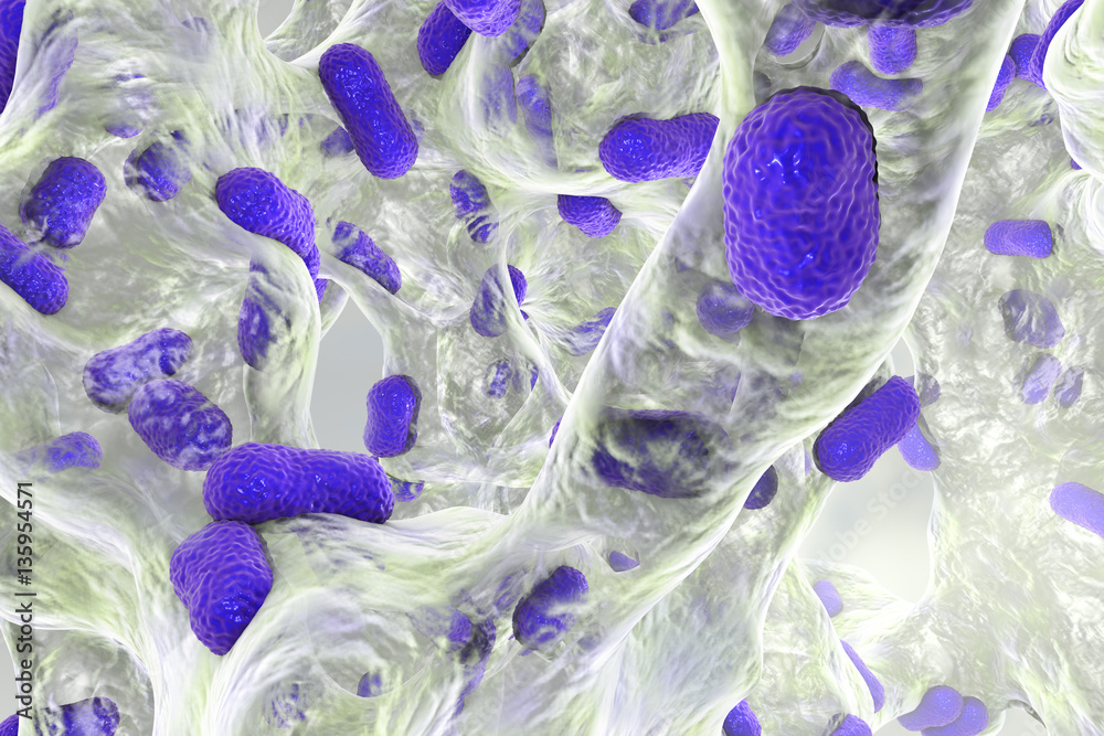 Biofilm of bacterium Acinetobacter baumannii, 3D illustration ... Biofilm of bacterium Acinetobacter baumannii, 3D illustration ...