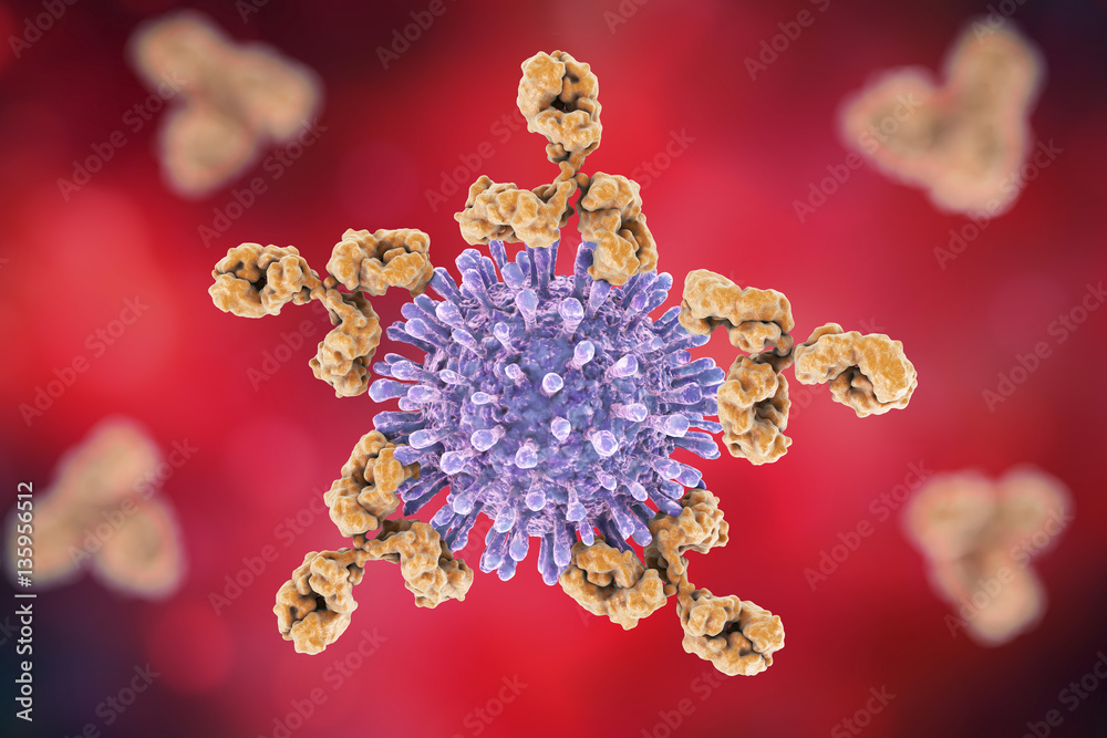 HIV and antibodies, 3D illustration. Concept for treatment of HIV ...