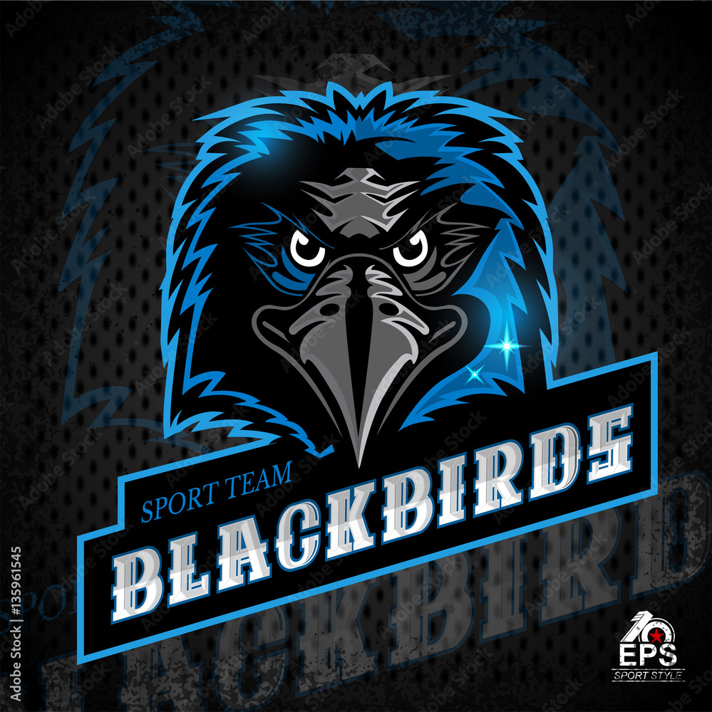 Bird head logo for any sport team blackbirds Stock Vector | Adobe Stock