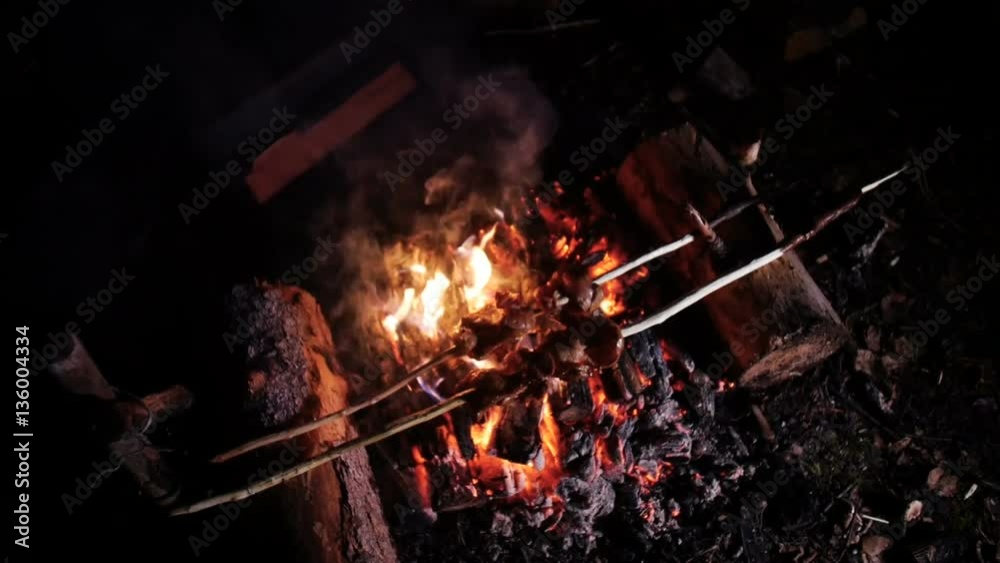 Roast meat on a stick over a campfire roasting directly Stock Video ...