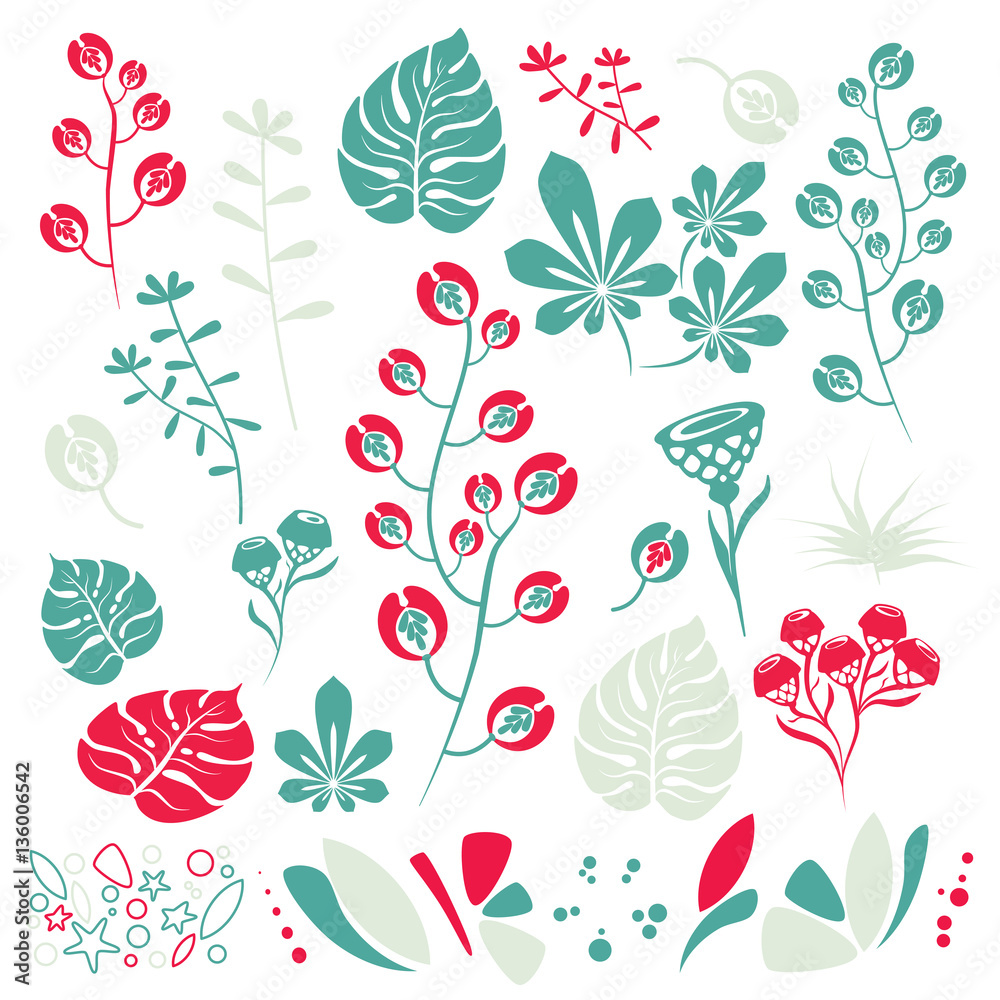 Geometric Shapes In Plants