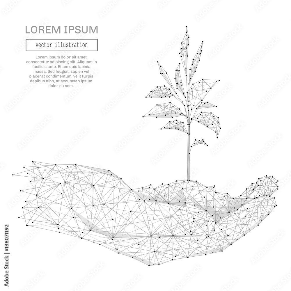 Abstract human hands holding sprout polygonal, geometry triangle. Light ...