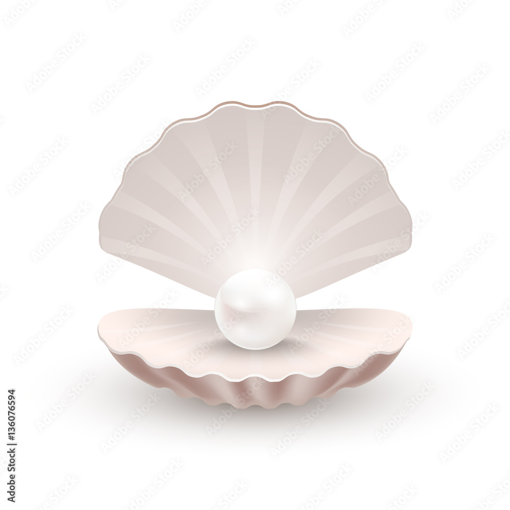 Shell with pearl inside, isolated on white, vector illustration Stock ...