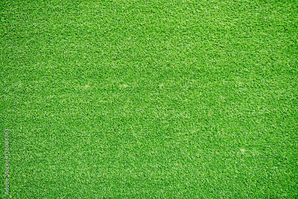 Golf Grass Texture