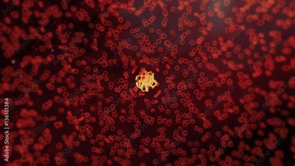 Virus in human blood, red blood cells magnified under microscope, lab ...