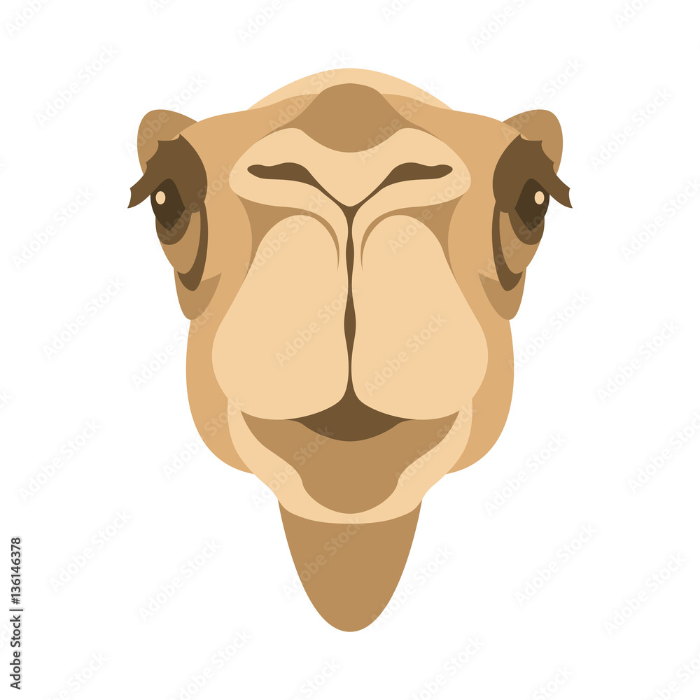 Camel Face Images