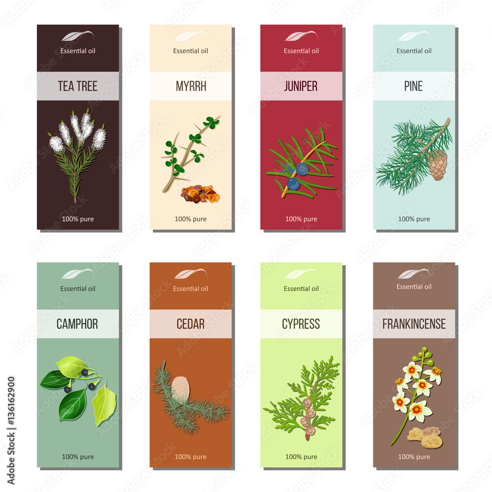 Essential oil labels collection. Tea tree, myrrh, juniper, pine ...