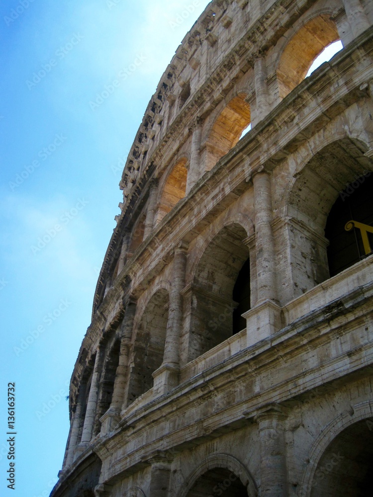 Photo & Art Print In the Shadow of the Colosseum, Robin