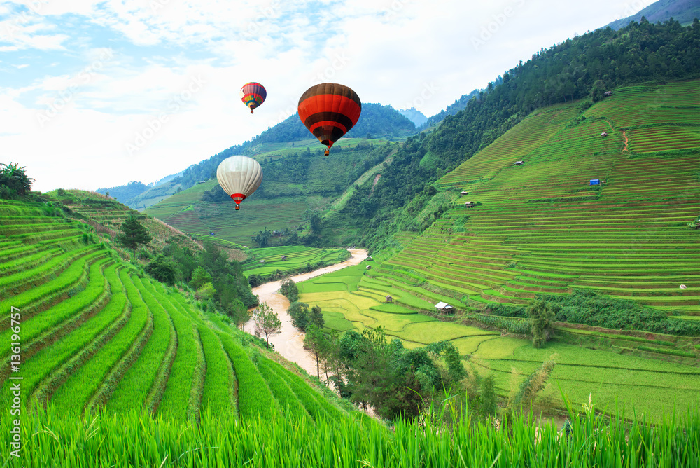 Balloon float in the rice fields on terraced of Mu Cang Chai, YenBai ...