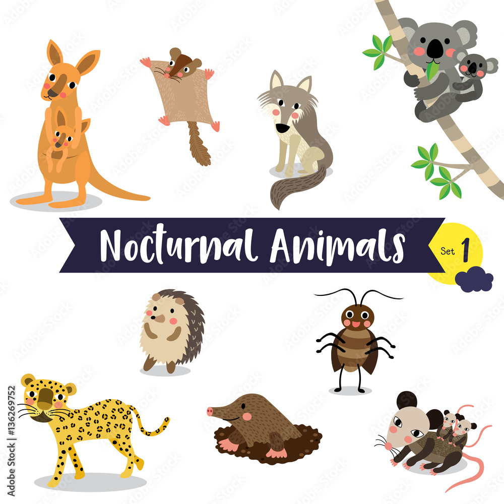 Nocturnal Animals cartoon on white background. Set 1. Stock Vector ...