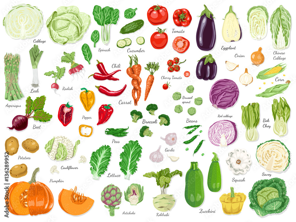 Big set of colored vegetables Stock Vector | Adobe Stock