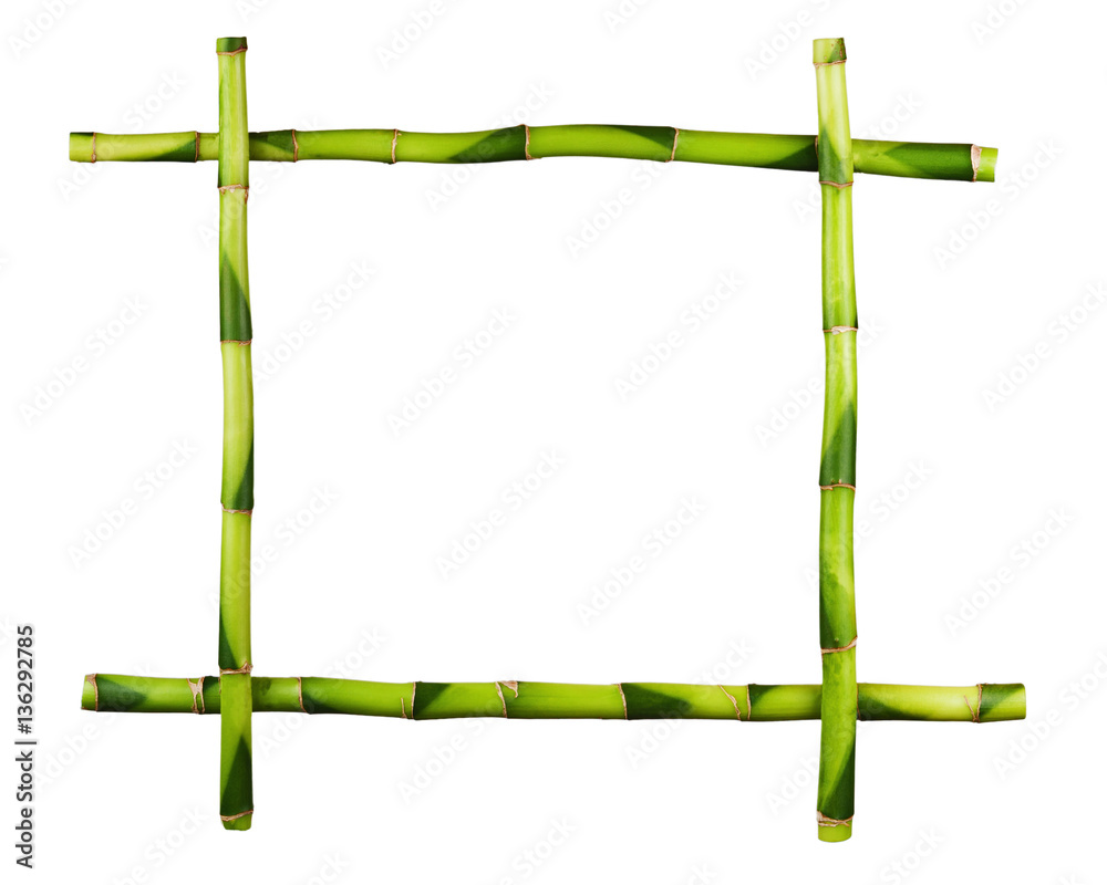 Green bamboo frame isolated on white background. Closeup. Stock Photo ...