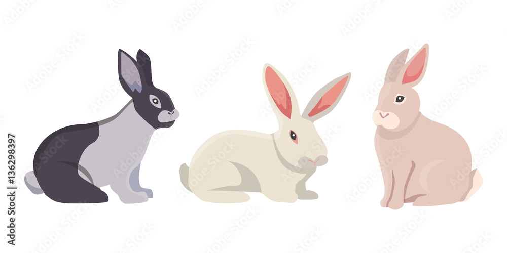 vector illustration of cartoon rabbits different breeds. Fine bunnys ...