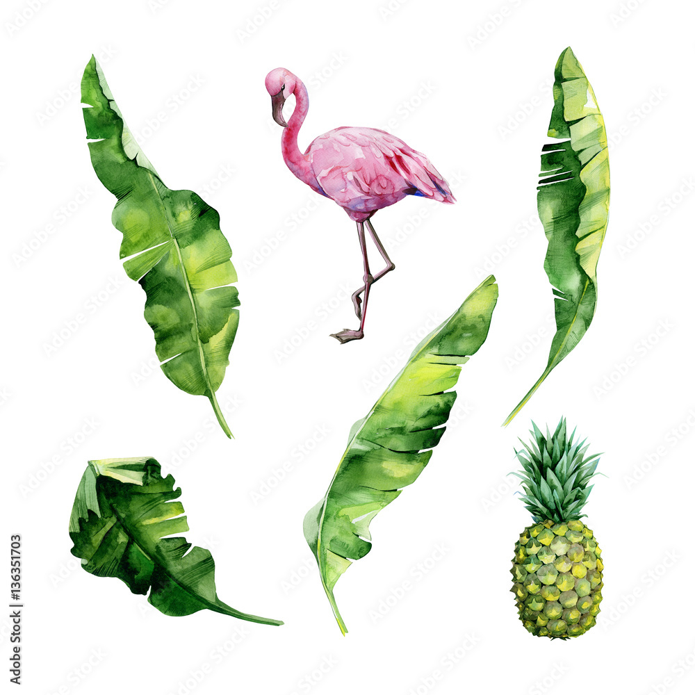 Watercolor illustration set of tropical leaves, dense jungle, flamingo ...