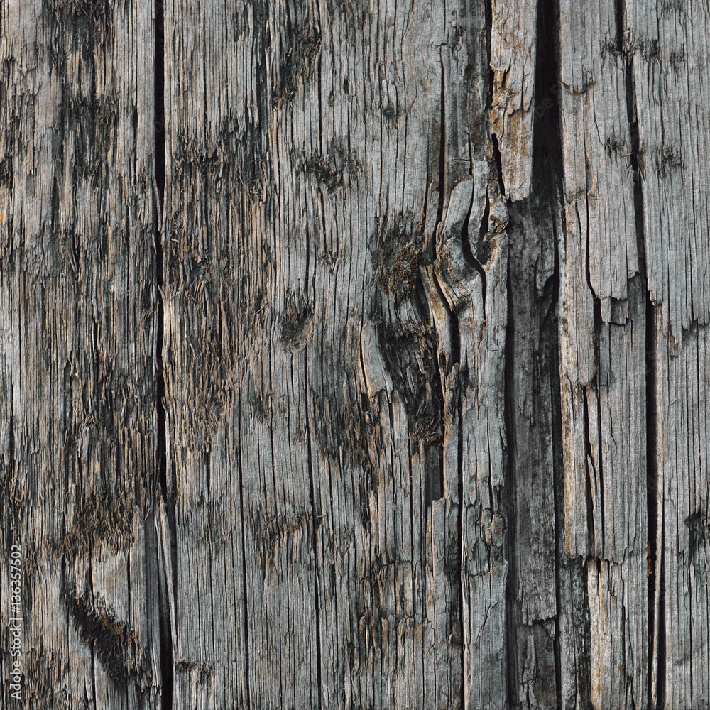 Rough Cut Wood Texture