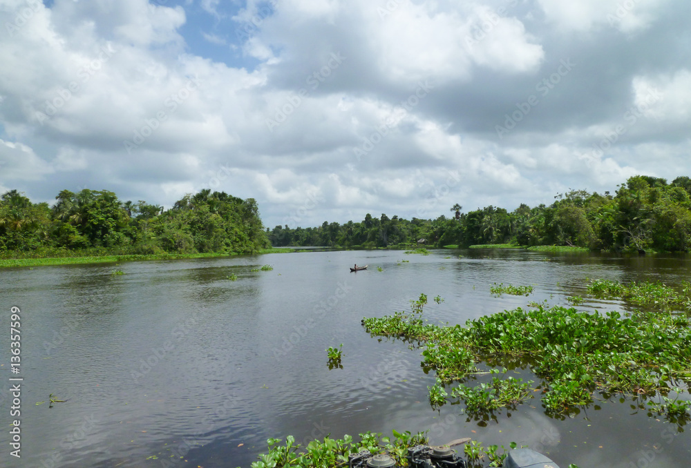 Orinoco River Delta