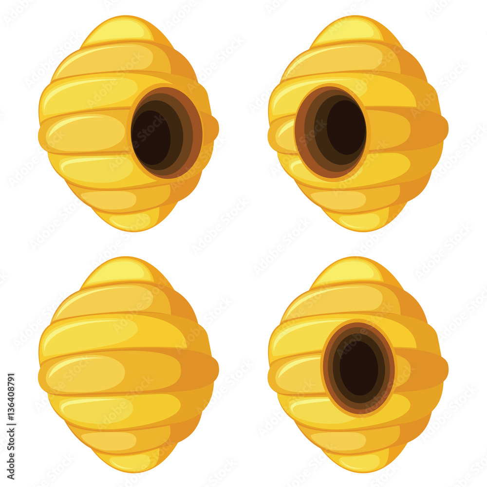 Honeycomb on white background front view, side view and back view ...