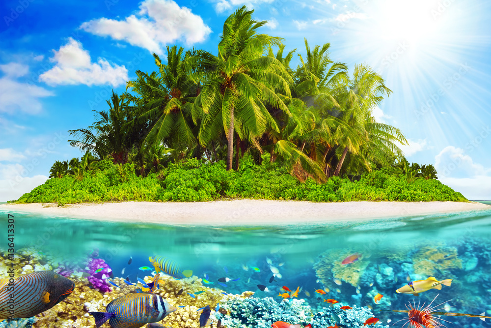 Tropical island in Ocean and beautiful underwater world. Stock Photo ...