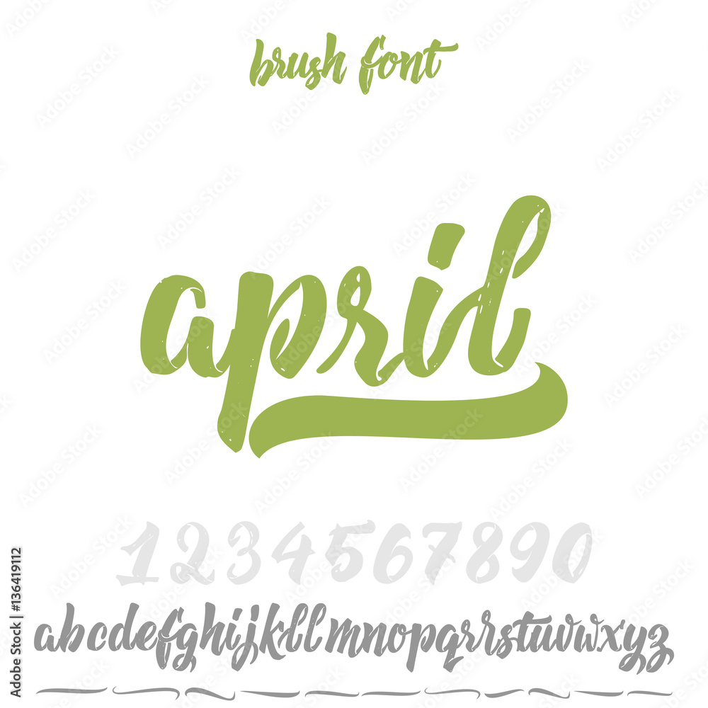 Vector Alphabet. Calligraphic font. Unique Custom Characters. Hand ...