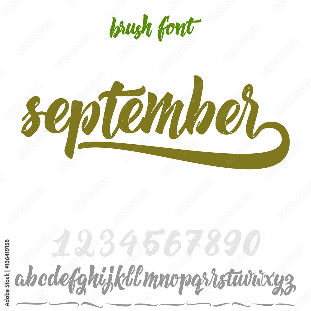 Vector Alphabet. Calligraphic font. Unique Custom Characters. Hand ...