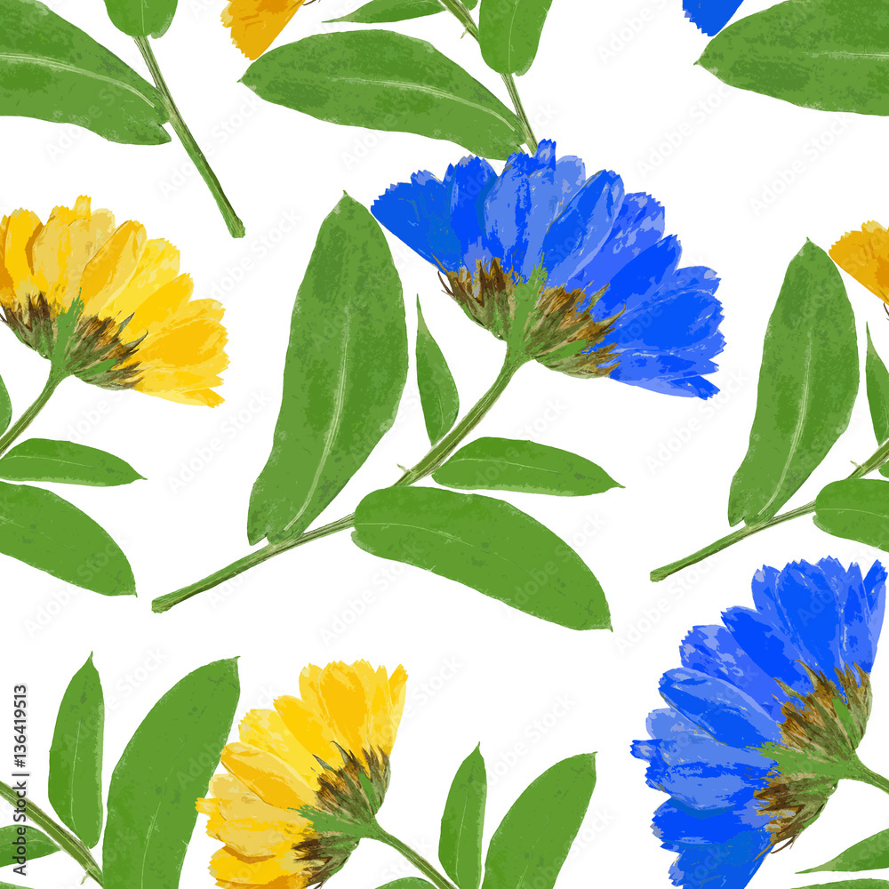 Marigold, calendula officinalis. Seamless pattern texture of pre Stock ...
