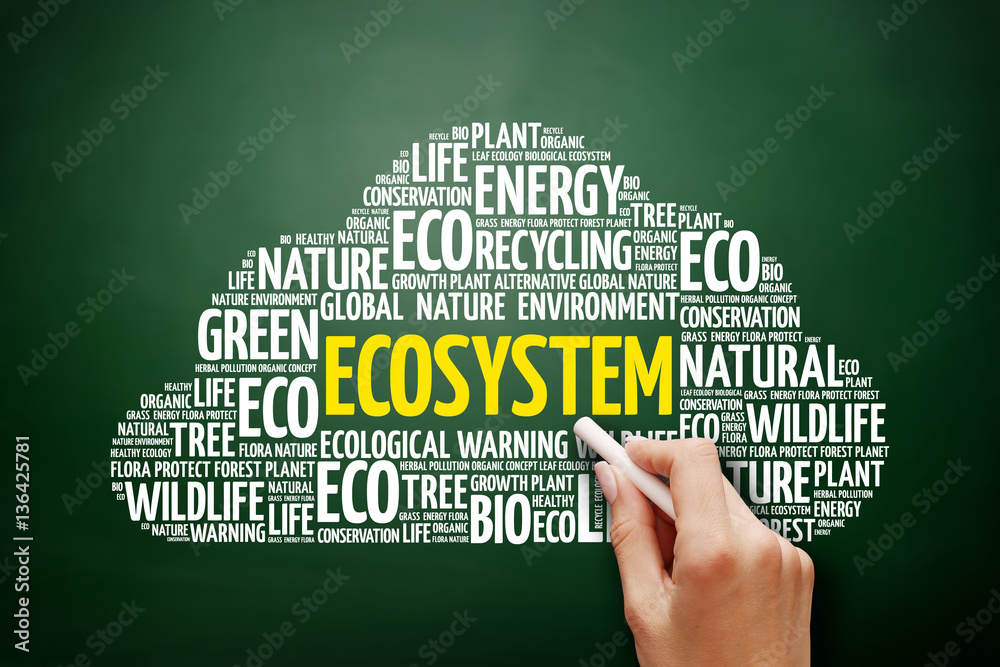 Ecosystem word cloud collage, green ecology concept on blackboard Stock ...