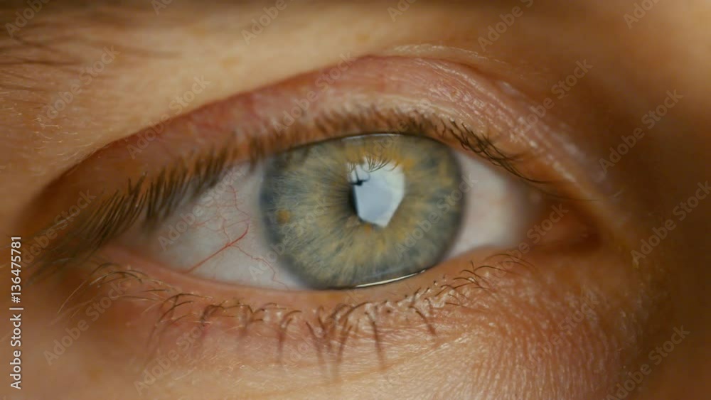 Close-up of a Blinking Man's Eyes. It's Grey with Brown Dots. Dilating ...