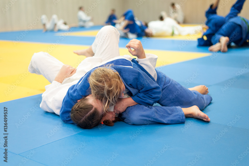 Blue Judo Gi