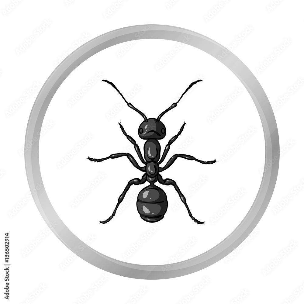 Ant icon in monochrome style isolated on white background. Insects ...