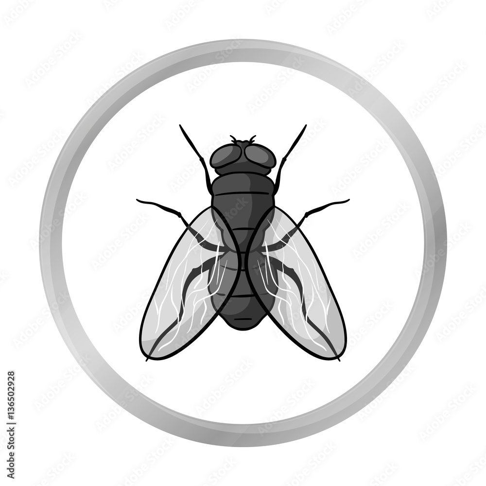 Fly icon in monochrome style isolated on white background. Insects ...