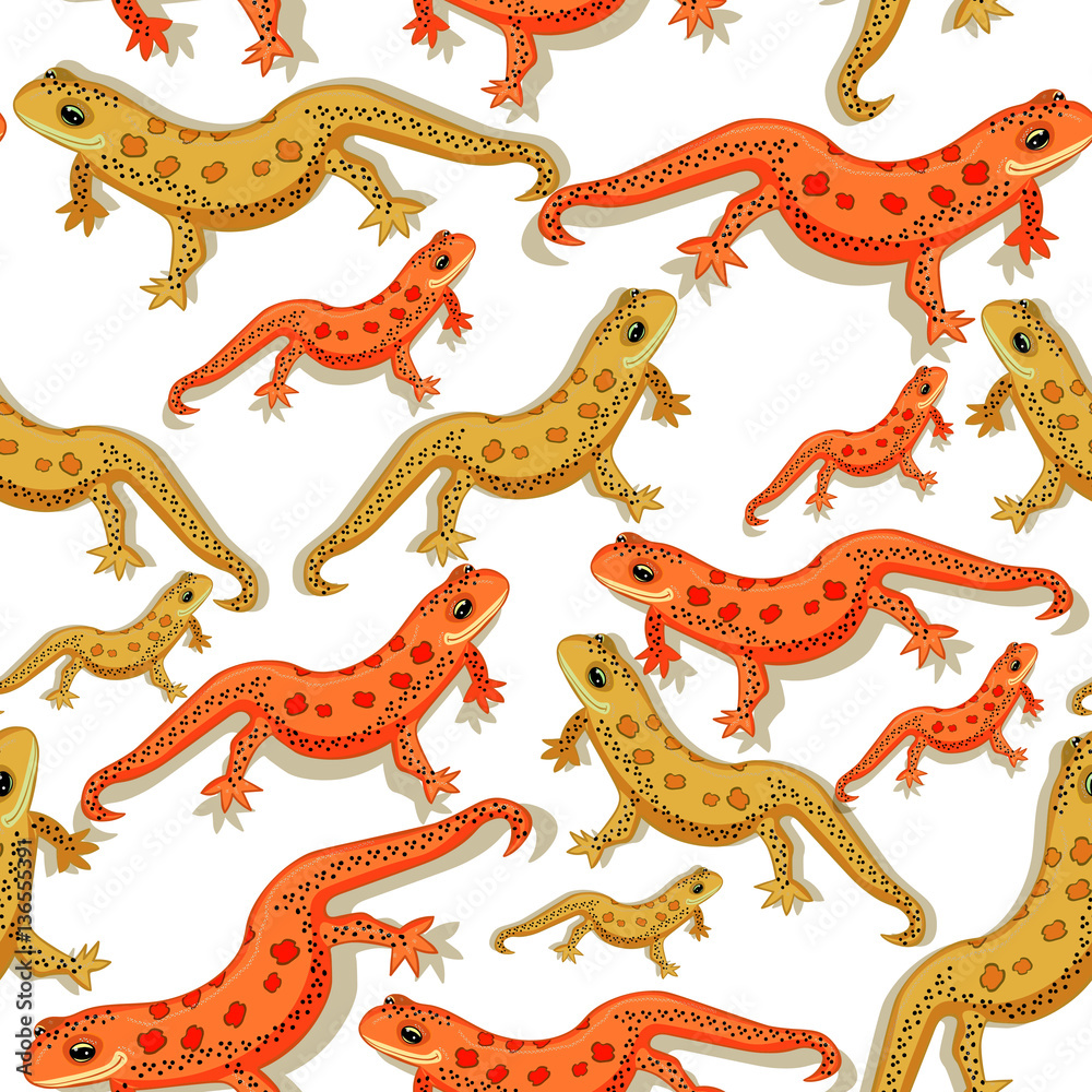 seamless pattern Triton East American red spotted salamanders Stock ...