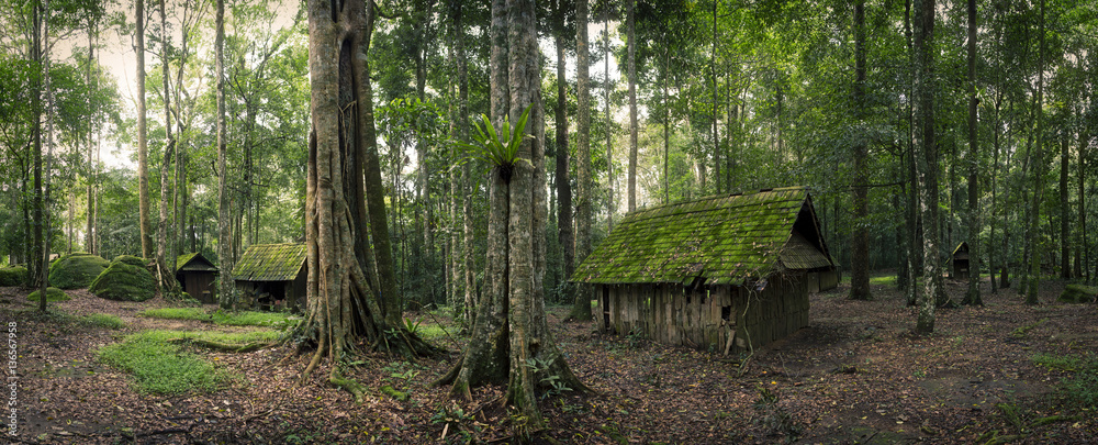 green hut in forest Stock Photo | Adobe Stock