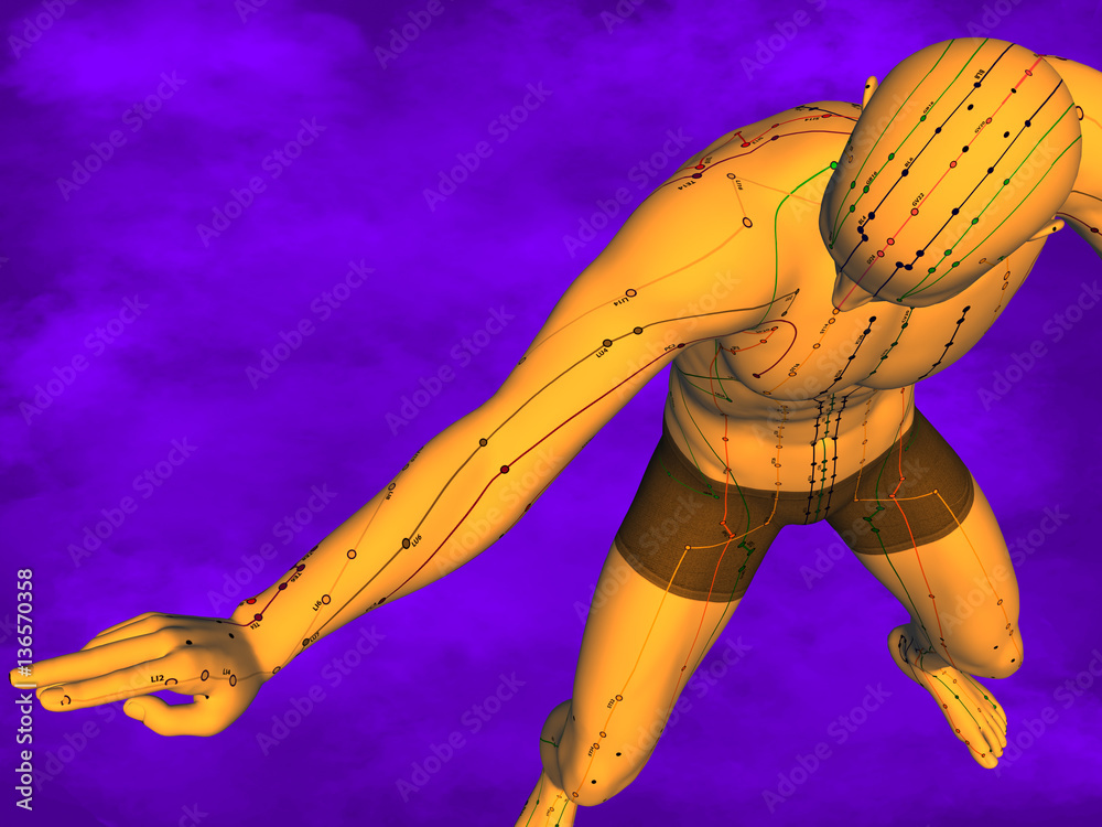 Acupuncture model M-POSE Ma-s-12-4, 3D Model Stock Illustration | Adobe ...