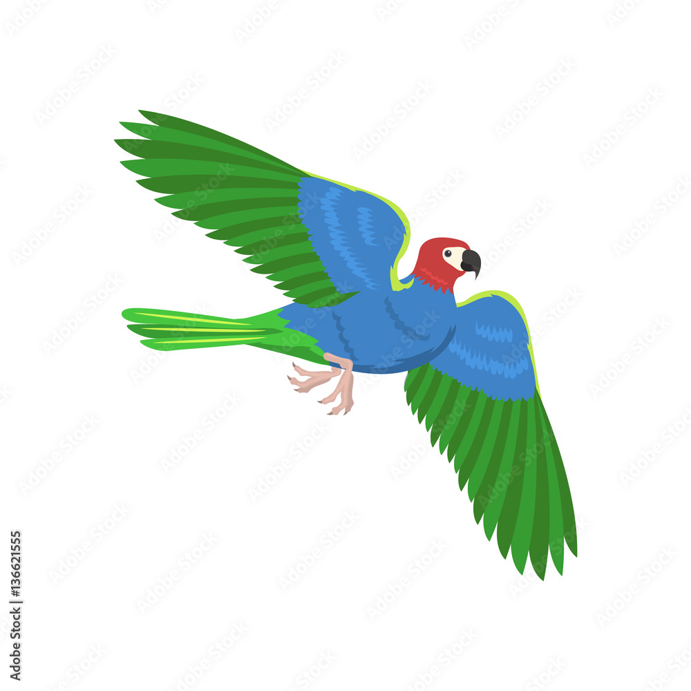 Cartoon parrot flying bird vector illustration. Stock Vector | Adobe Stock