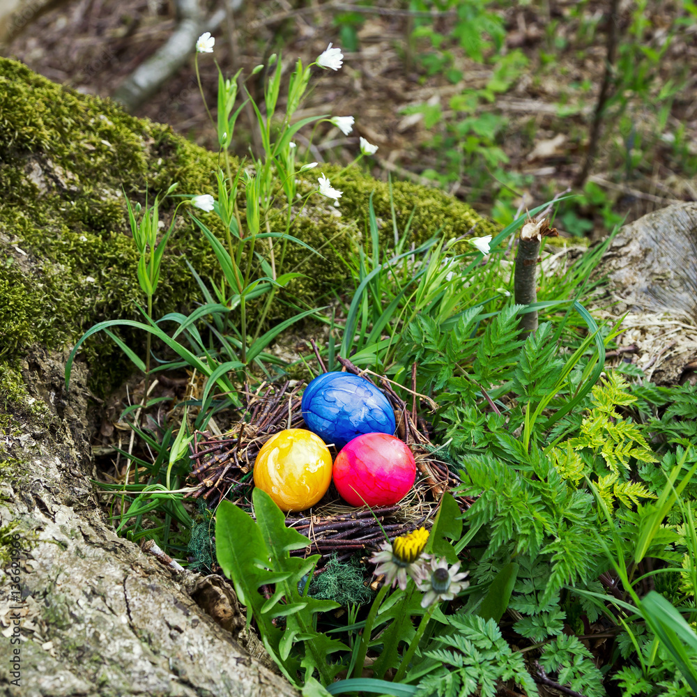 verstecktes Osternest in freier Natur Stock Photo | Adobe Stock