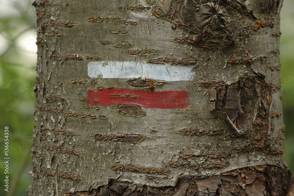 Chemin de grande randonnée Stock Photo | Adobe Stock