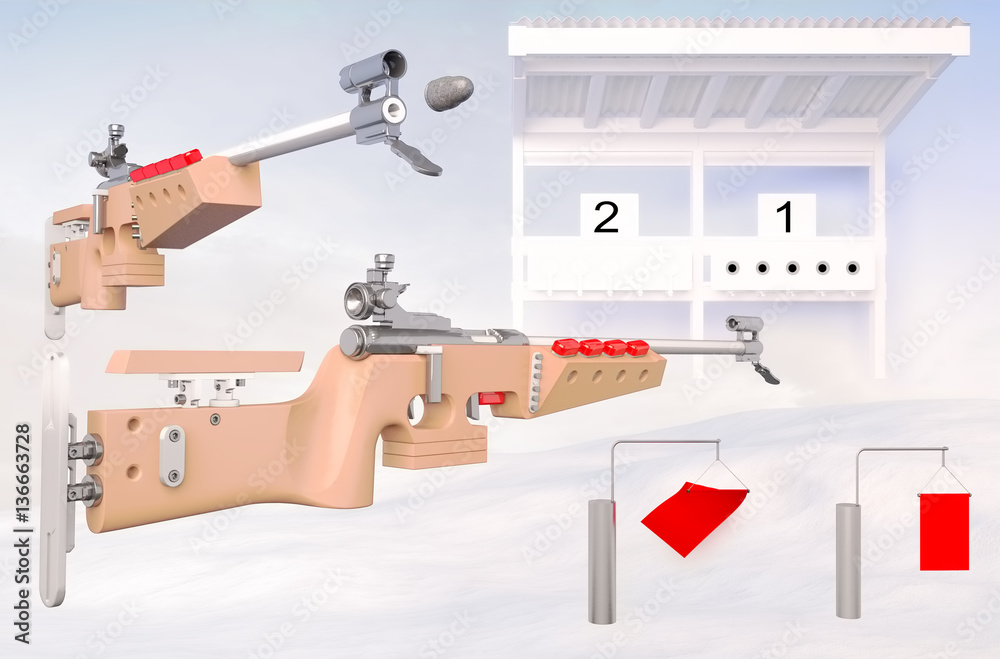 Biathlon Target