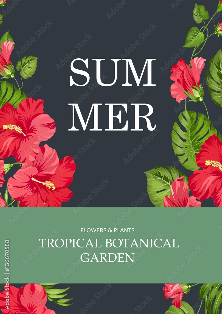 The book cover. Summer time and botanical garden text over black ...