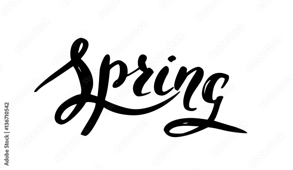 Vector handwritten brush script. Black letters isolated on white ...