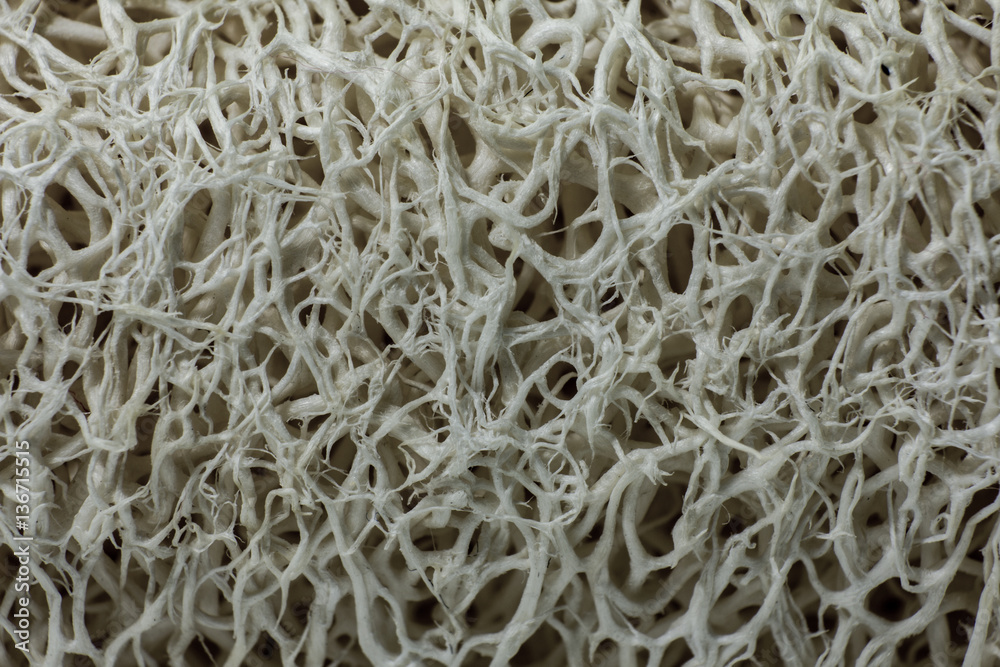 filament texture Stock Photo | Adobe Stock