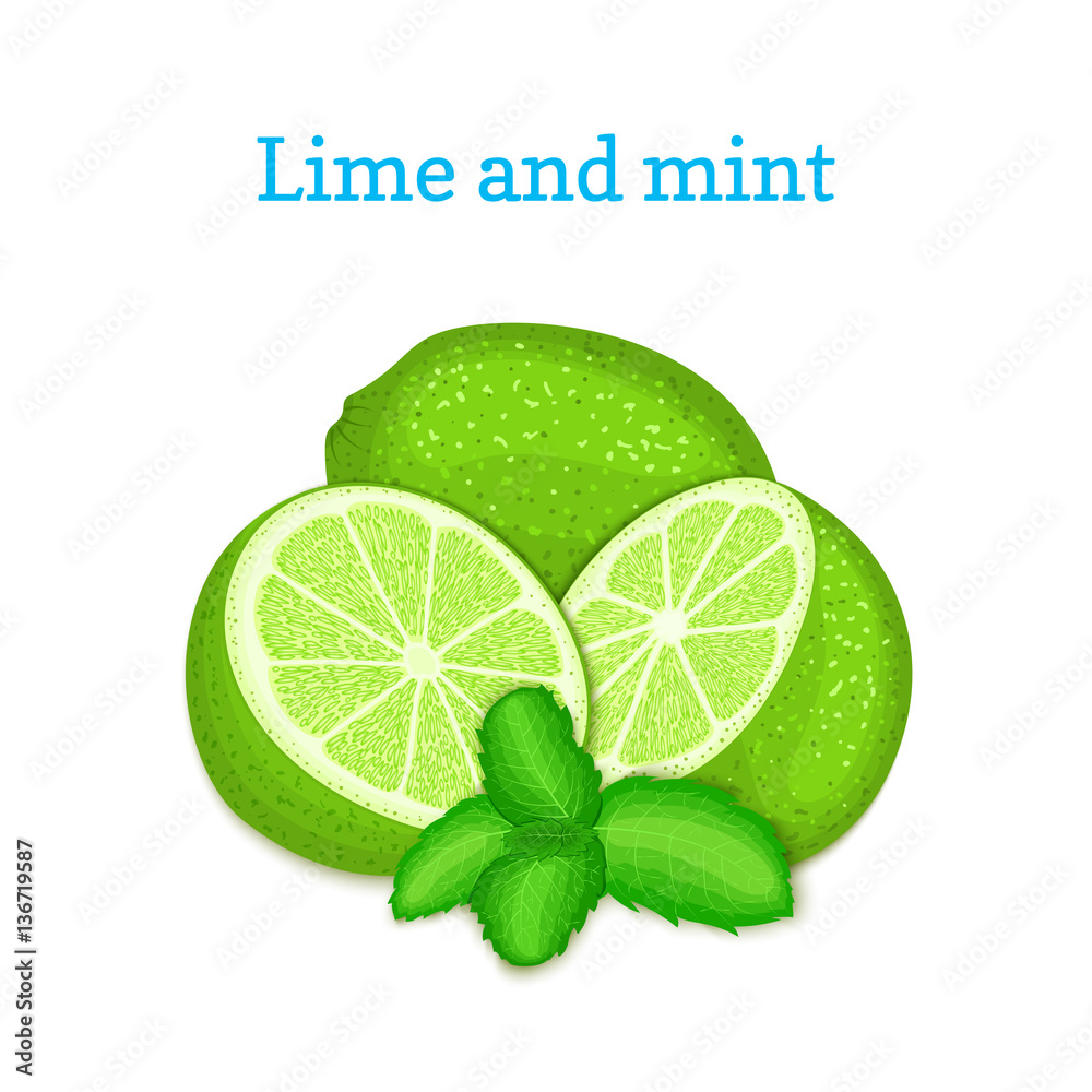Vector composition of a citrus lime fruit and mint leaves. Green limes ...