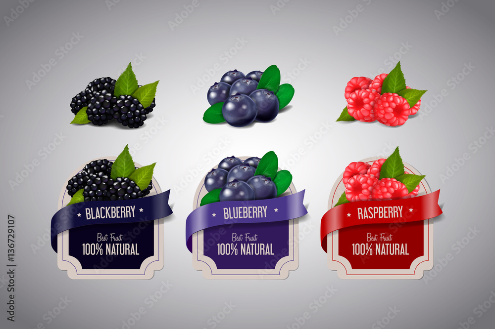Realistic Berry labels set with blackberry, blueberry and raspbe Stock ...