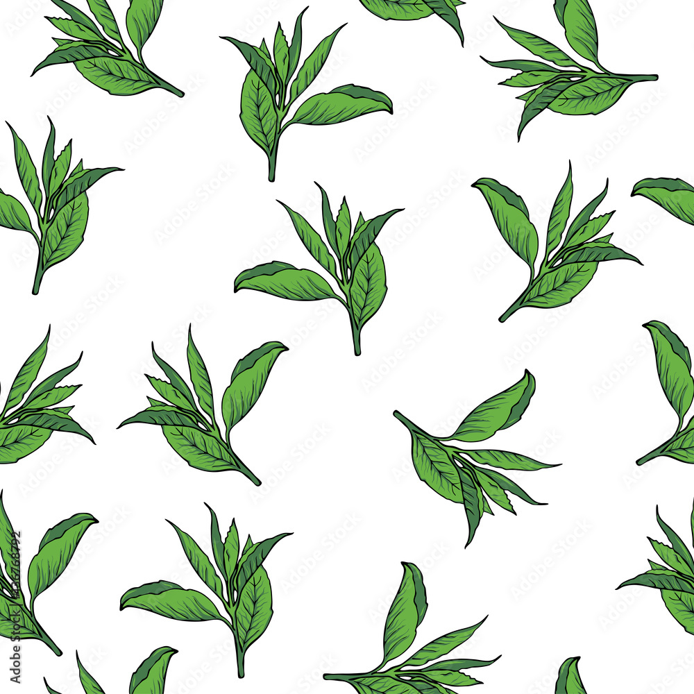Seamless pattern with green tea leaves on white background. Hand drawn ...