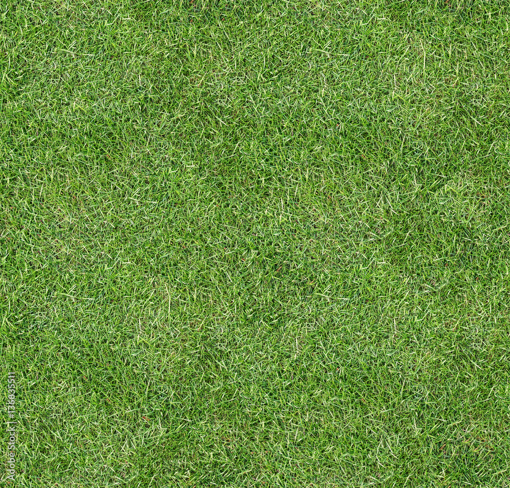 Seamless square green grass texture. Stock Photo | Adobe Stock