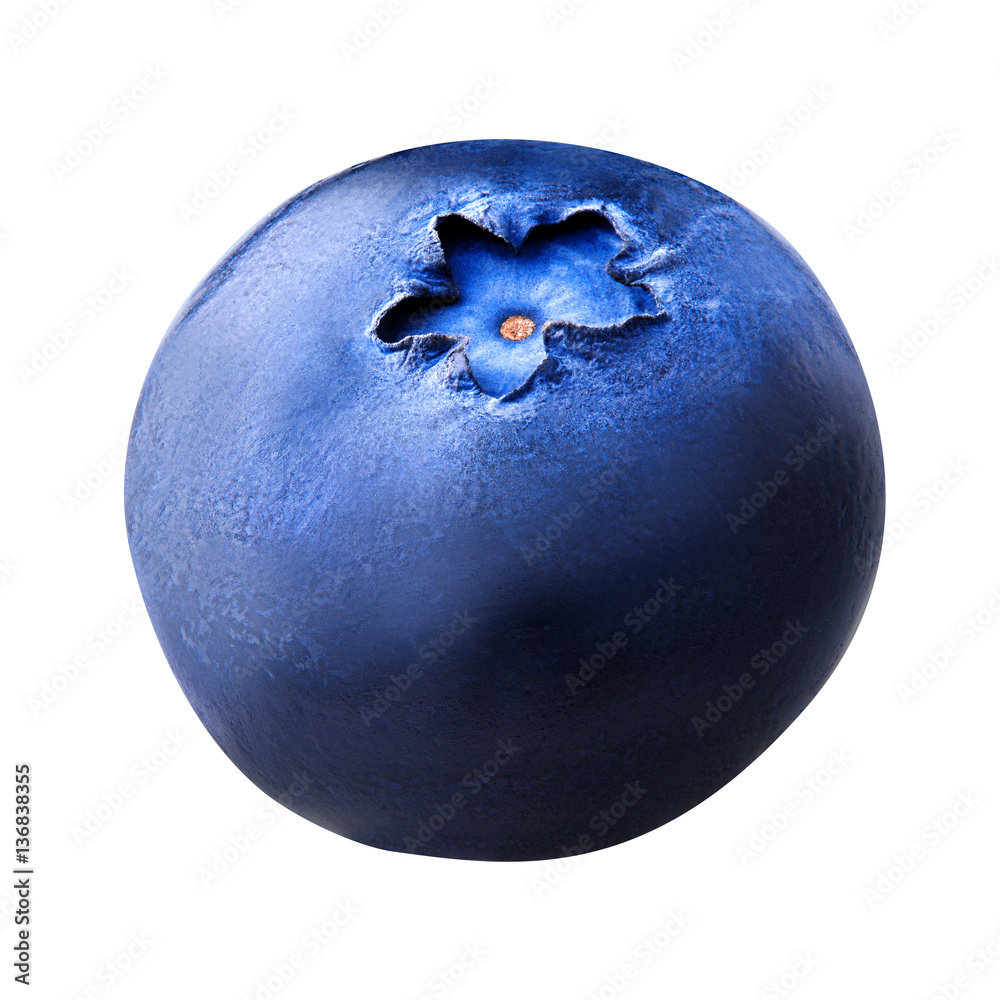 Single blueberry berry isolated on white background. With clipping path ...